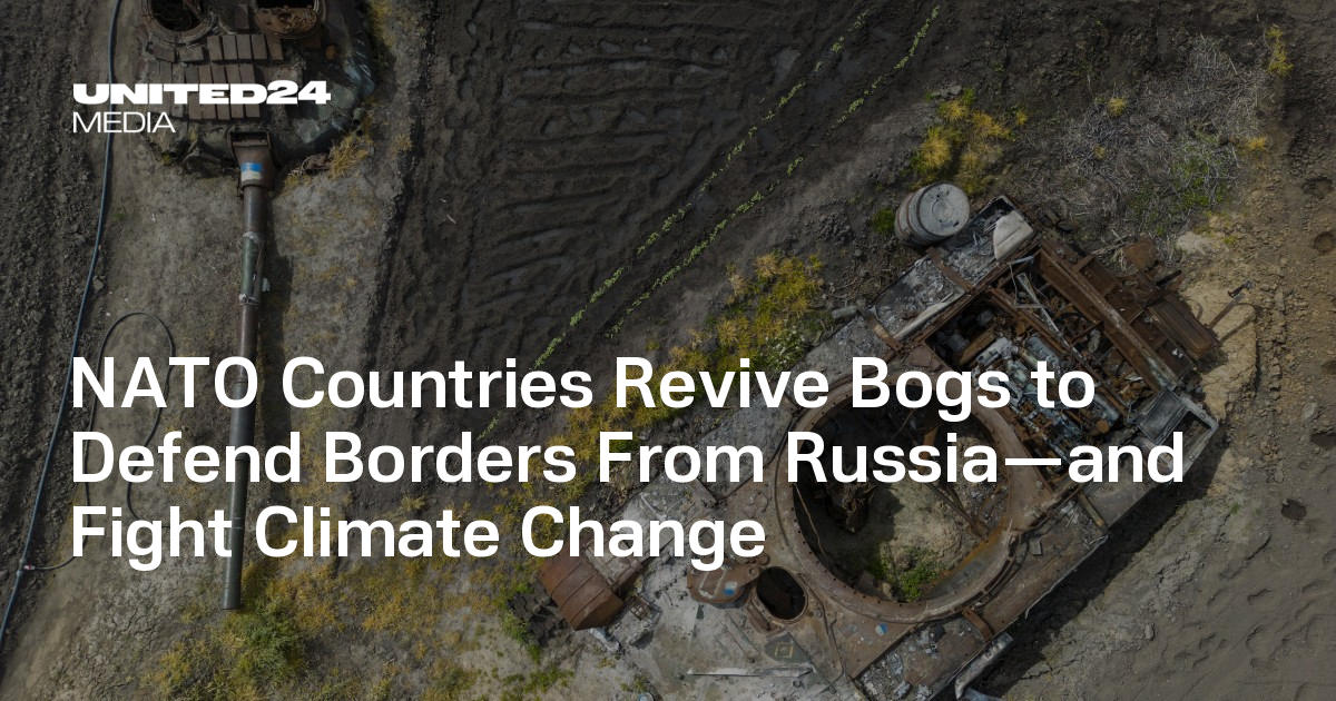 NATO Countries Revive Bogs to Defend Borders From Russia—and Fight ...