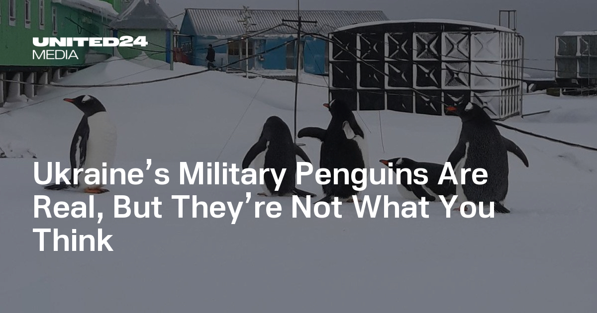 Ukraine’s Military Penguins: The Scientists Who Left Antarctica to ...