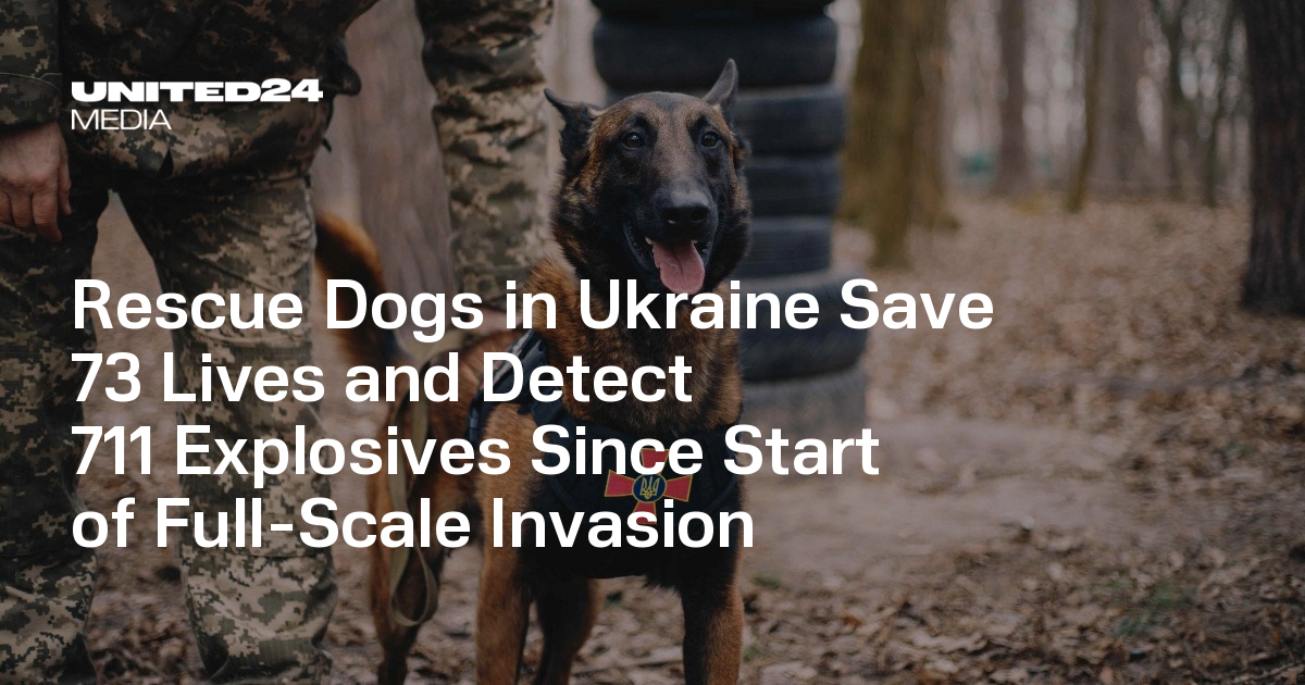 Rescue Dogs in Ukraine Save 73 Lives and Detect 711 Explosives Since ...
