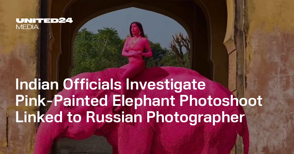 Indian Officials Investigate Pink-Painted Elephant Photoshoot Linked to ...
