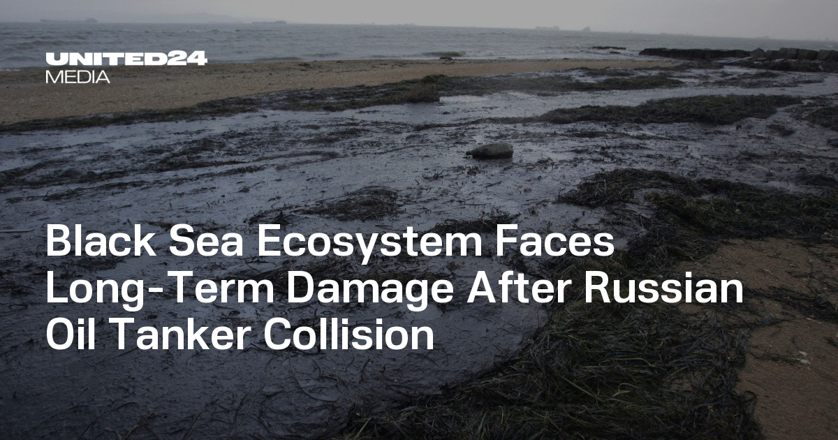 Black Sea Ecosystem Faces Long-Term Damage After Russian Oil Tanker ...