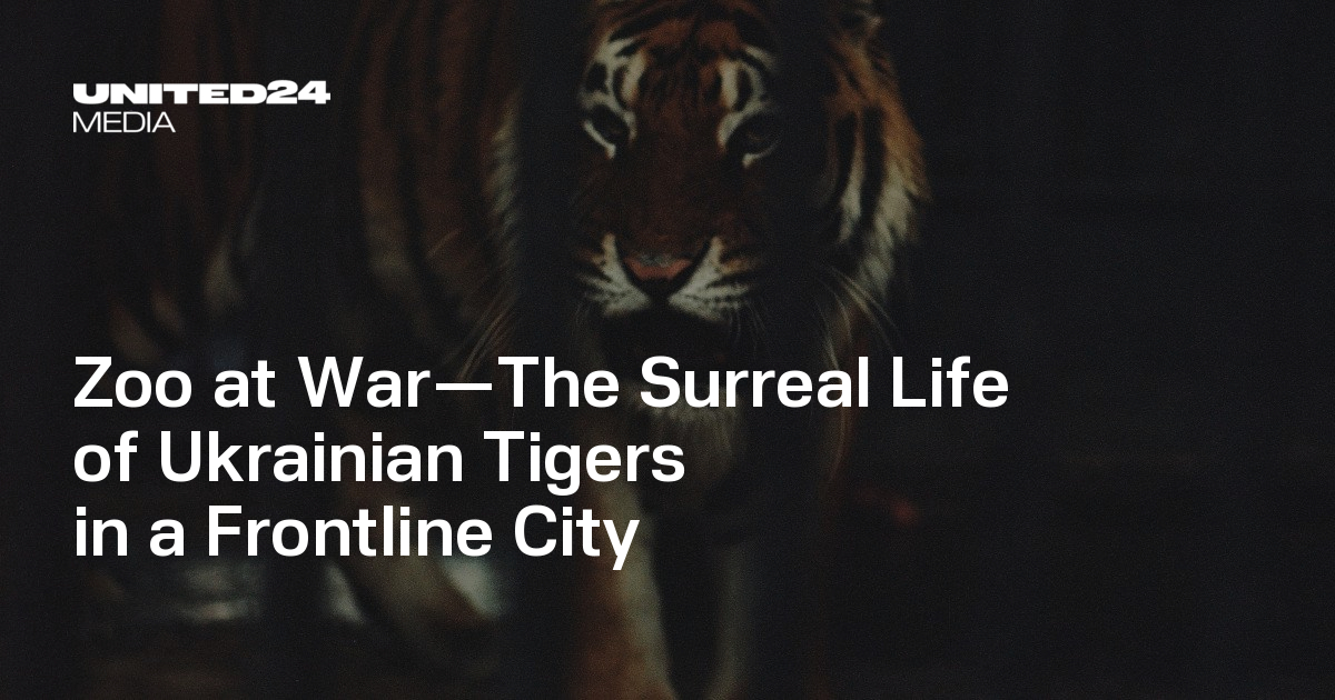 Zoo at War—The Surreal Life of Ukrainian Tigers in a Frontline City ...