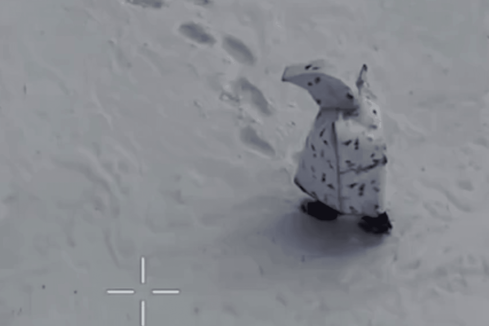 Russian Troops Test “Penguin” Snow Camouflage and Get Picked Off by ...