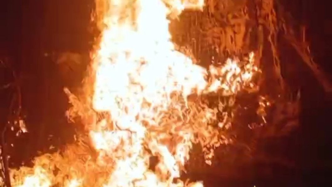 Russian Forces Suffer Mass Alcohol Poisoning in Zaporizhzhia Direction ...
