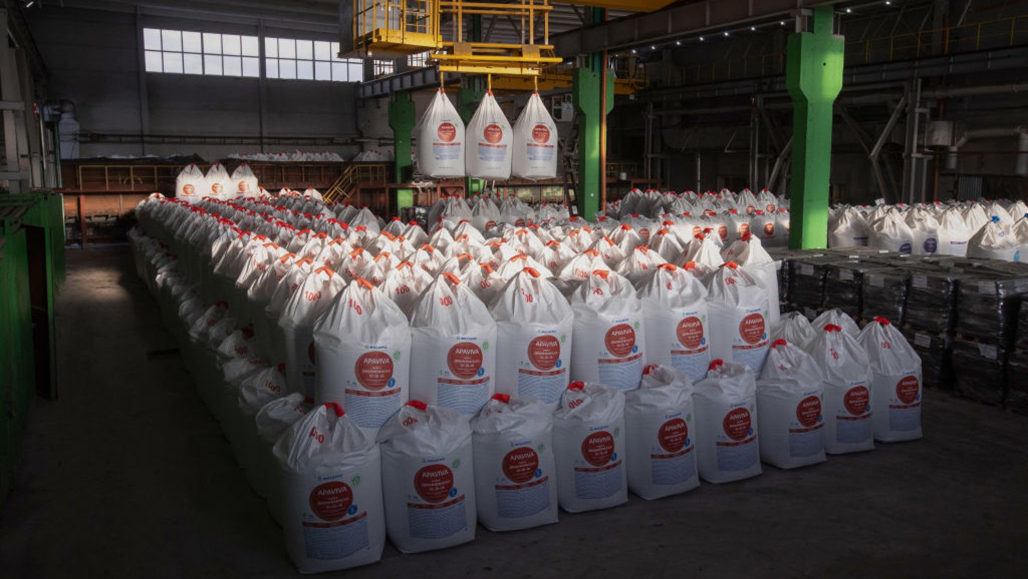 Ukraine Faces Agricultural Crisis as Locusts Destroy Crops in Frontline ...