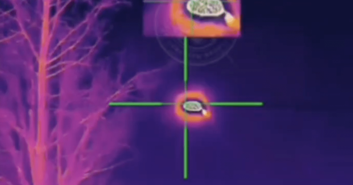Rusia revela un prototipo de rifle láser diseñado para combatir drones ...